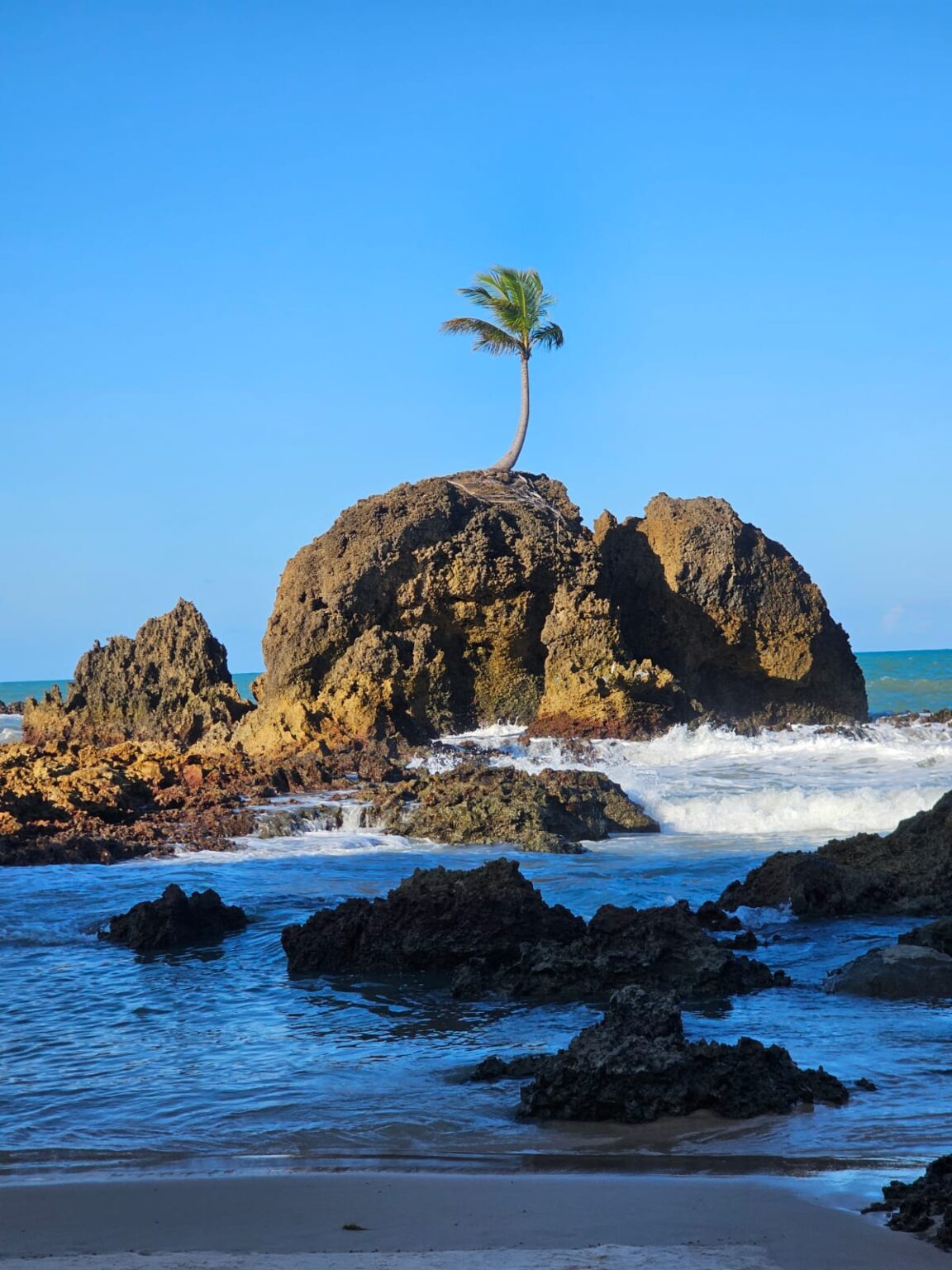 Experiência na praia de nudismo de Tambaba, em João Pessoa - A Nomade
